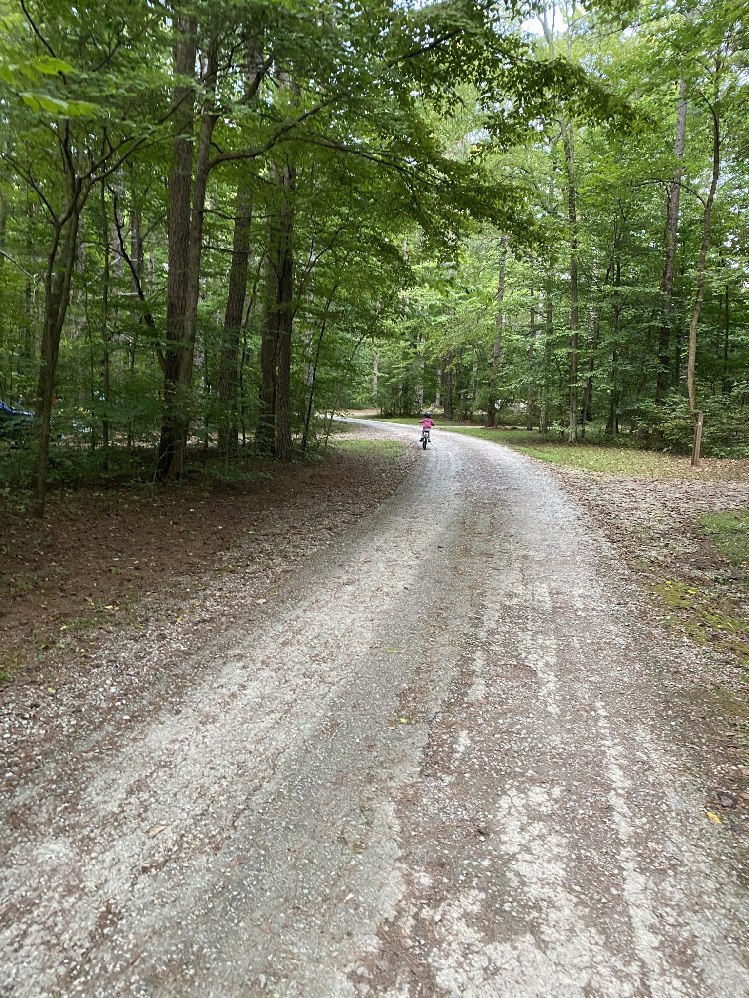 Redbud Campground at Bell Smith Springs - The Marvelous Camp