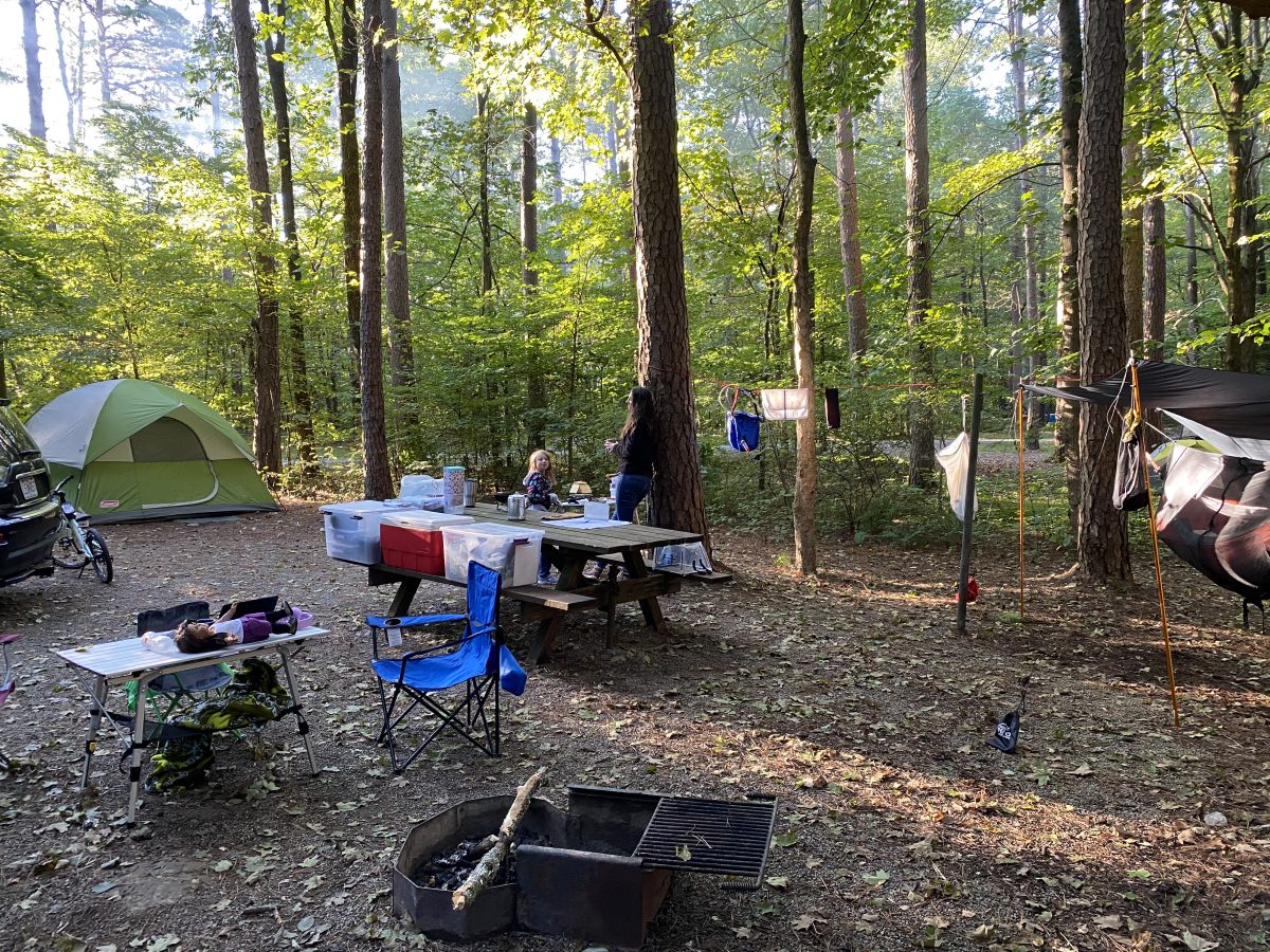Redbud Campground at Bell Smith Springs - The Marvelous Camp