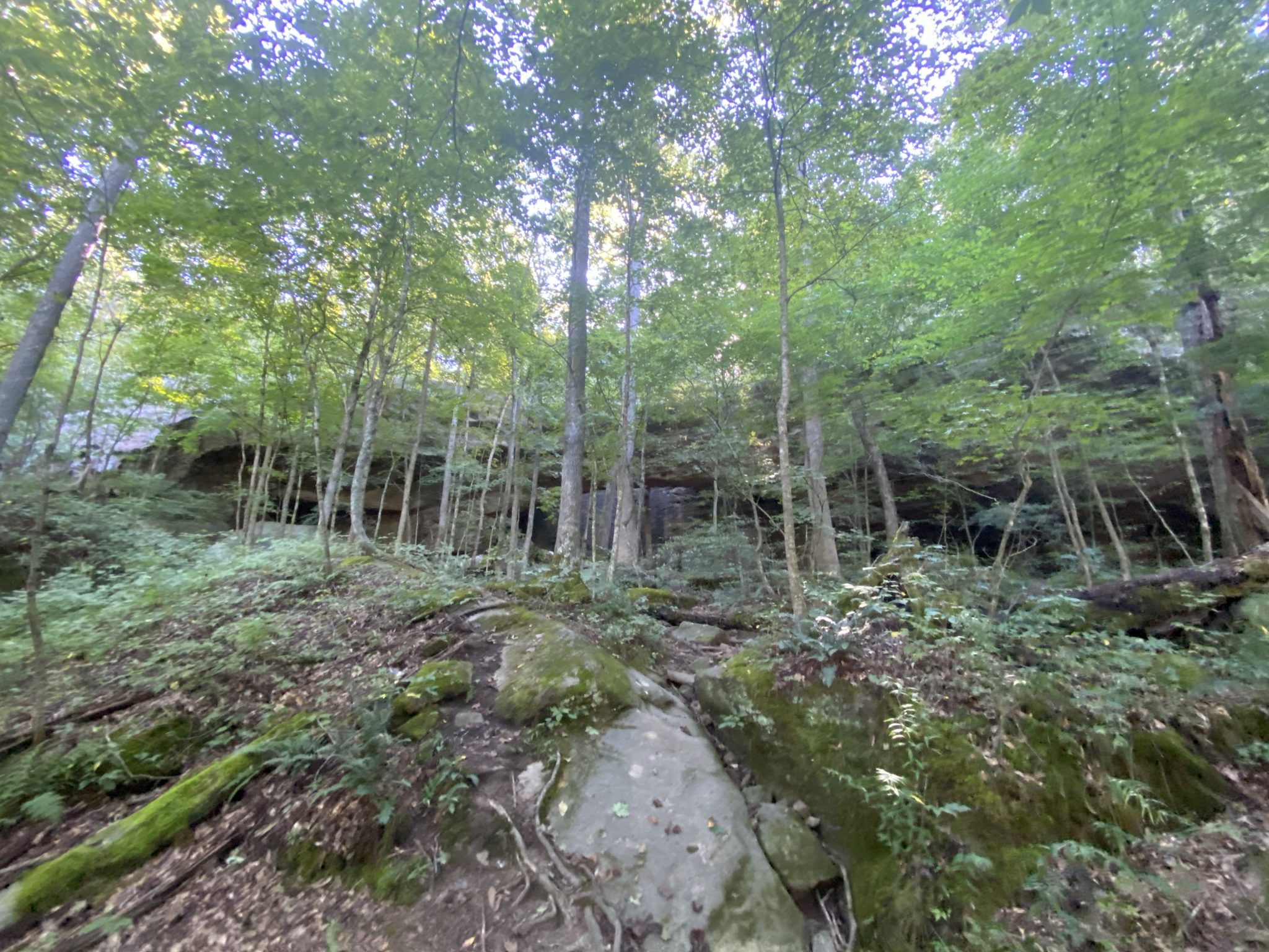 Redbud Campground at Bell Smith Springs - The Marvelous Camp