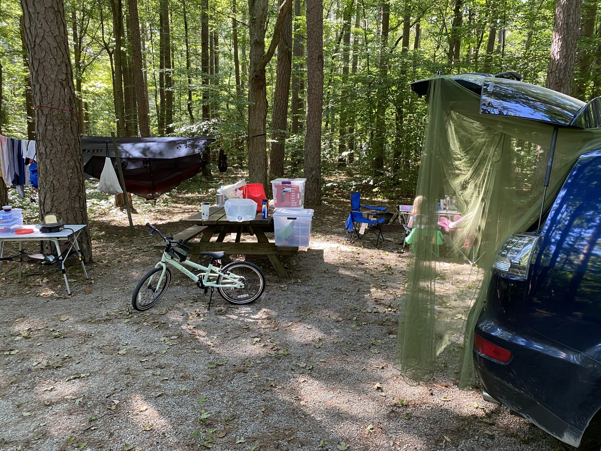 Redbud Campground at Bell Smith Springs - The Marvelous Camp