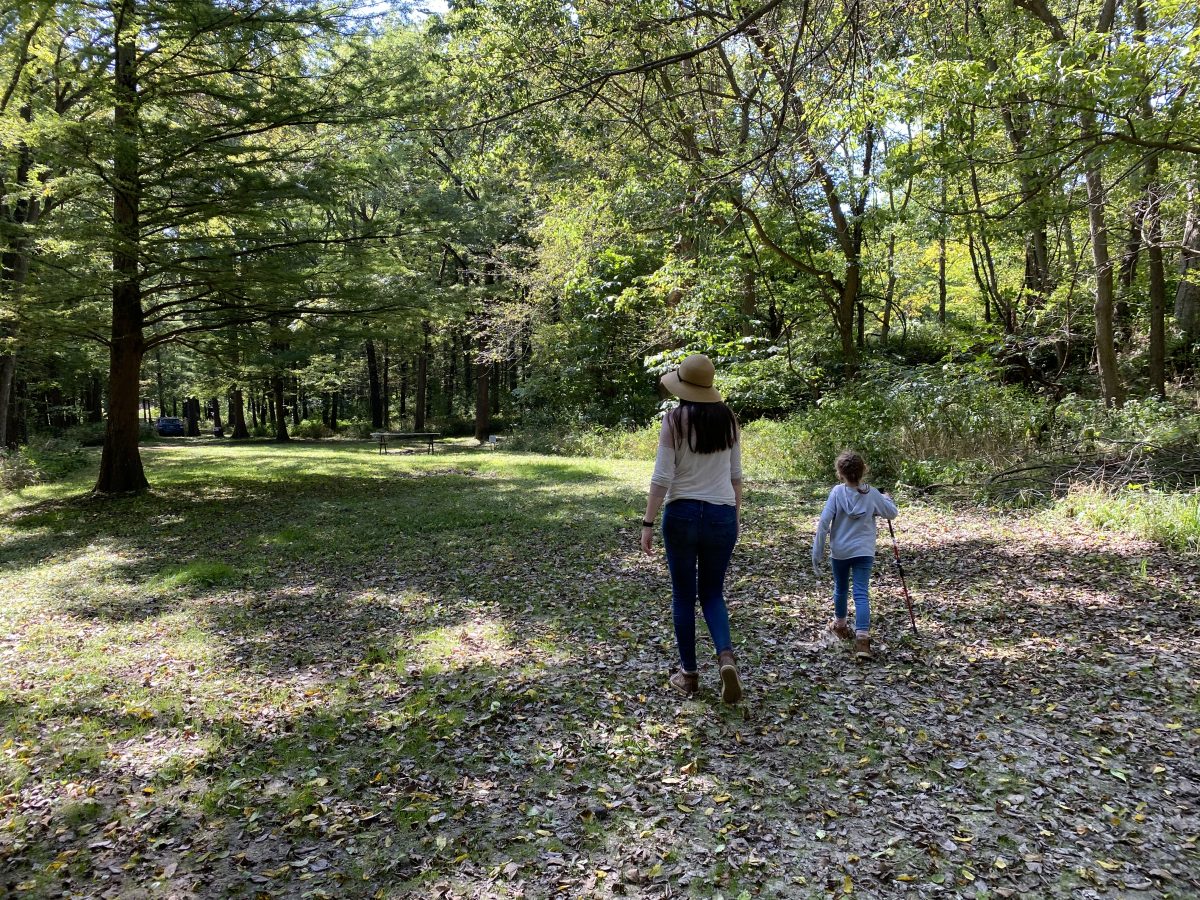 McCully Heritage Project - The Marvelous Camp