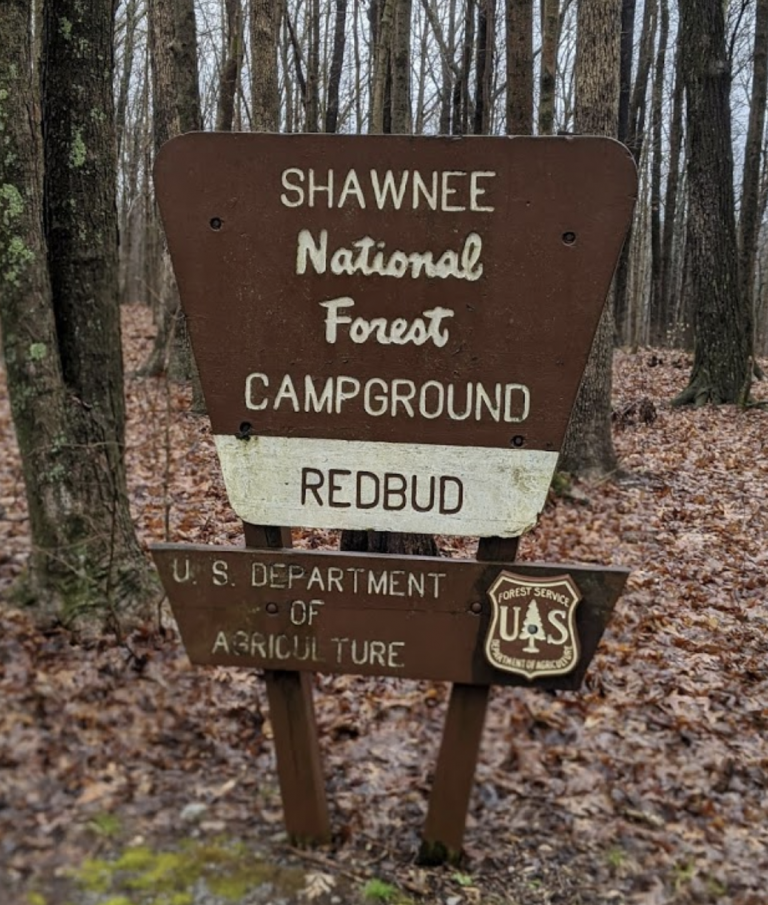 Redbud Campground at Bell Smith Springs - The Marvelous Camp