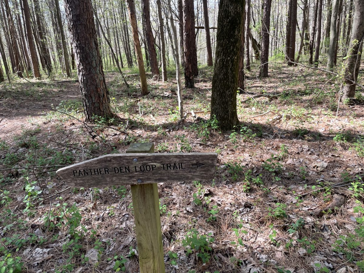 Panther Den Wilderness - The Marvelous Camp