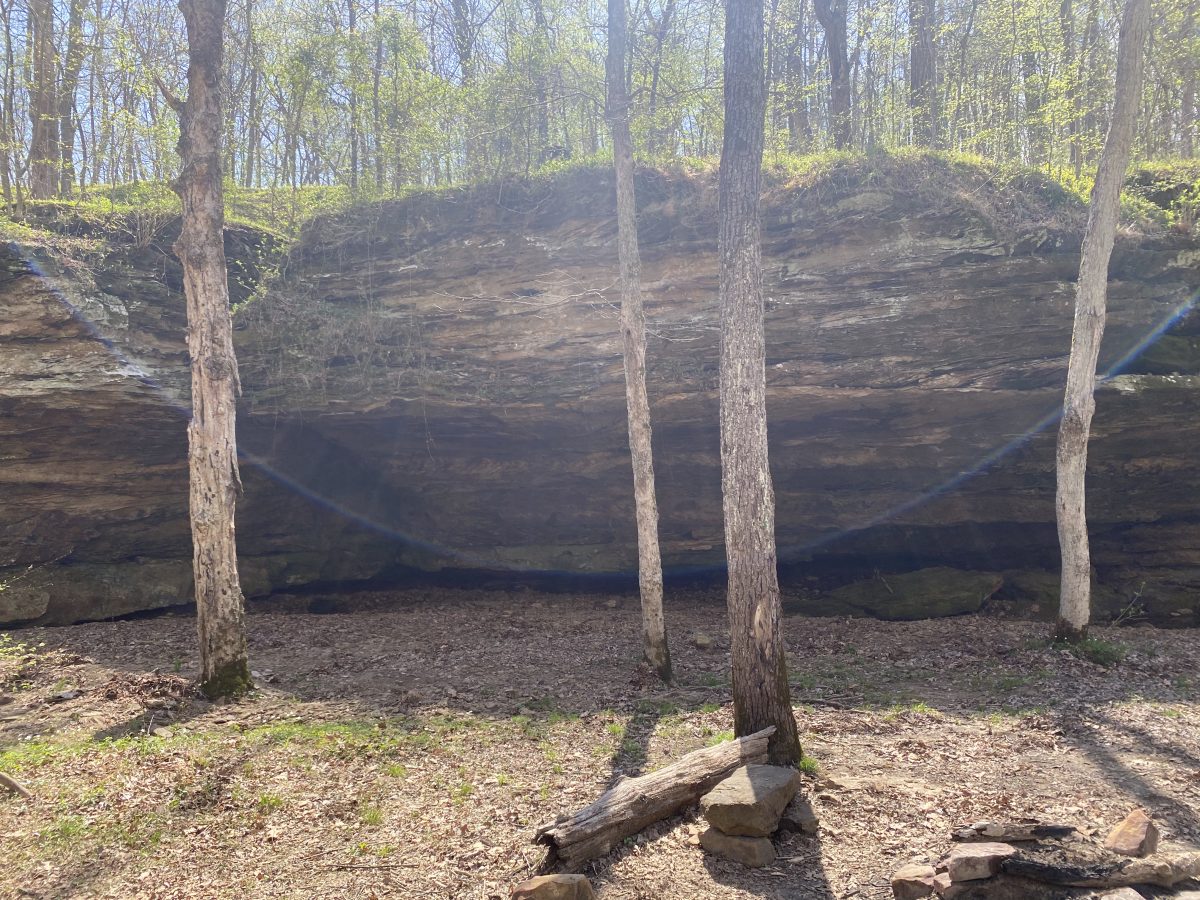 Panther Den Wilderness - The Marvelous Camp