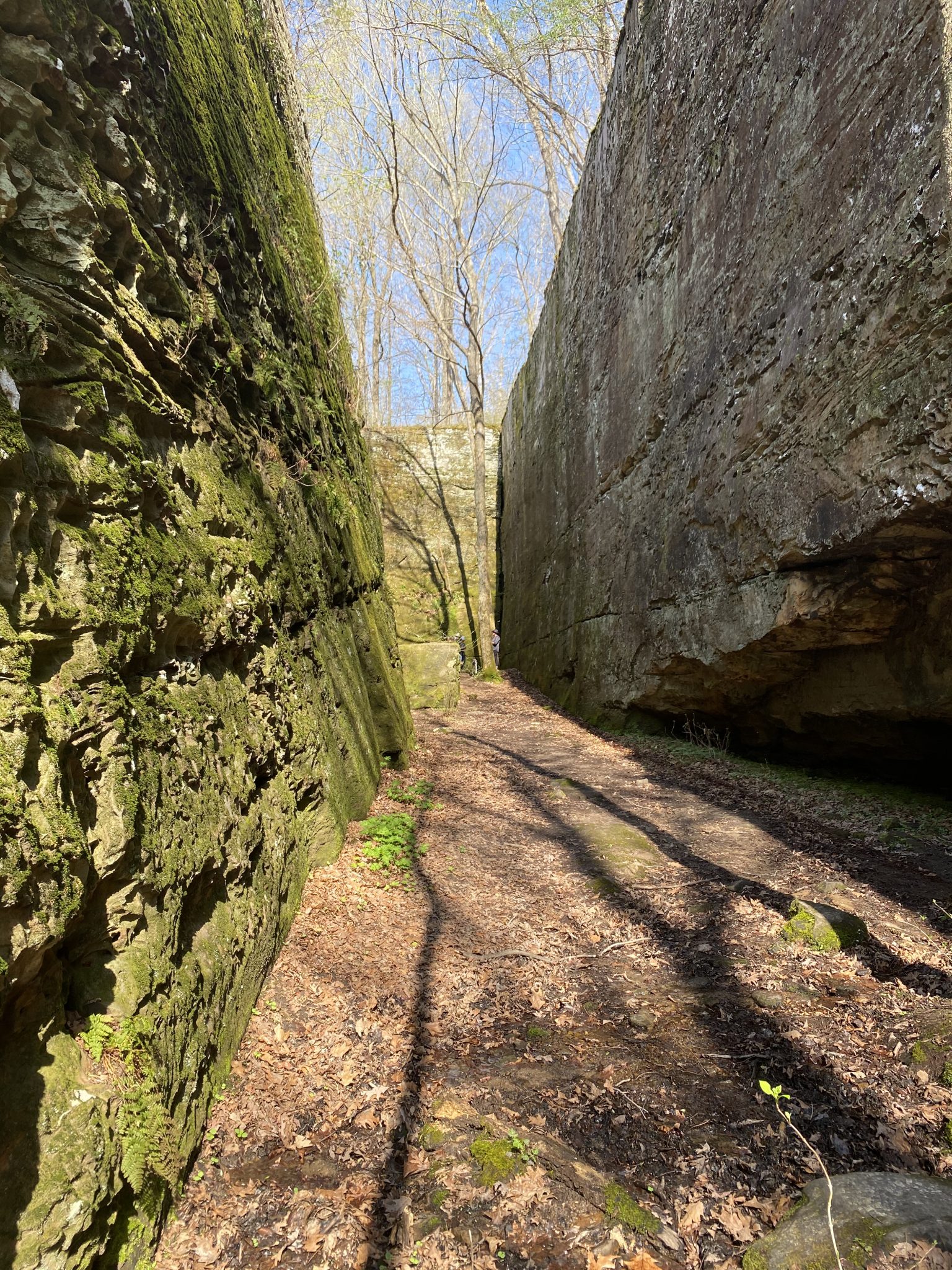 Panther Den Wilderness - The Marvelous Camp