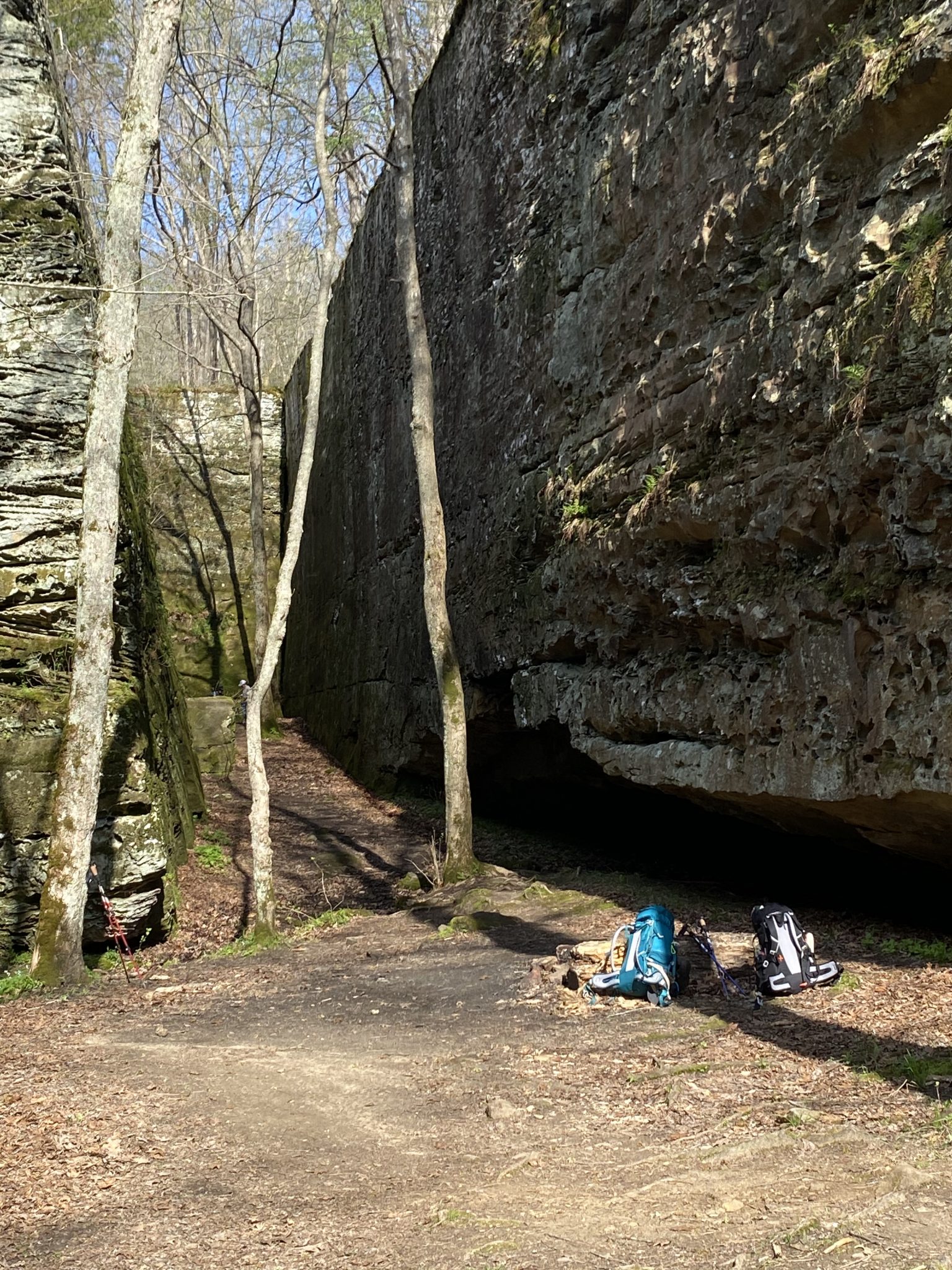 Panther Den Wilderness - The Marvelous Camp