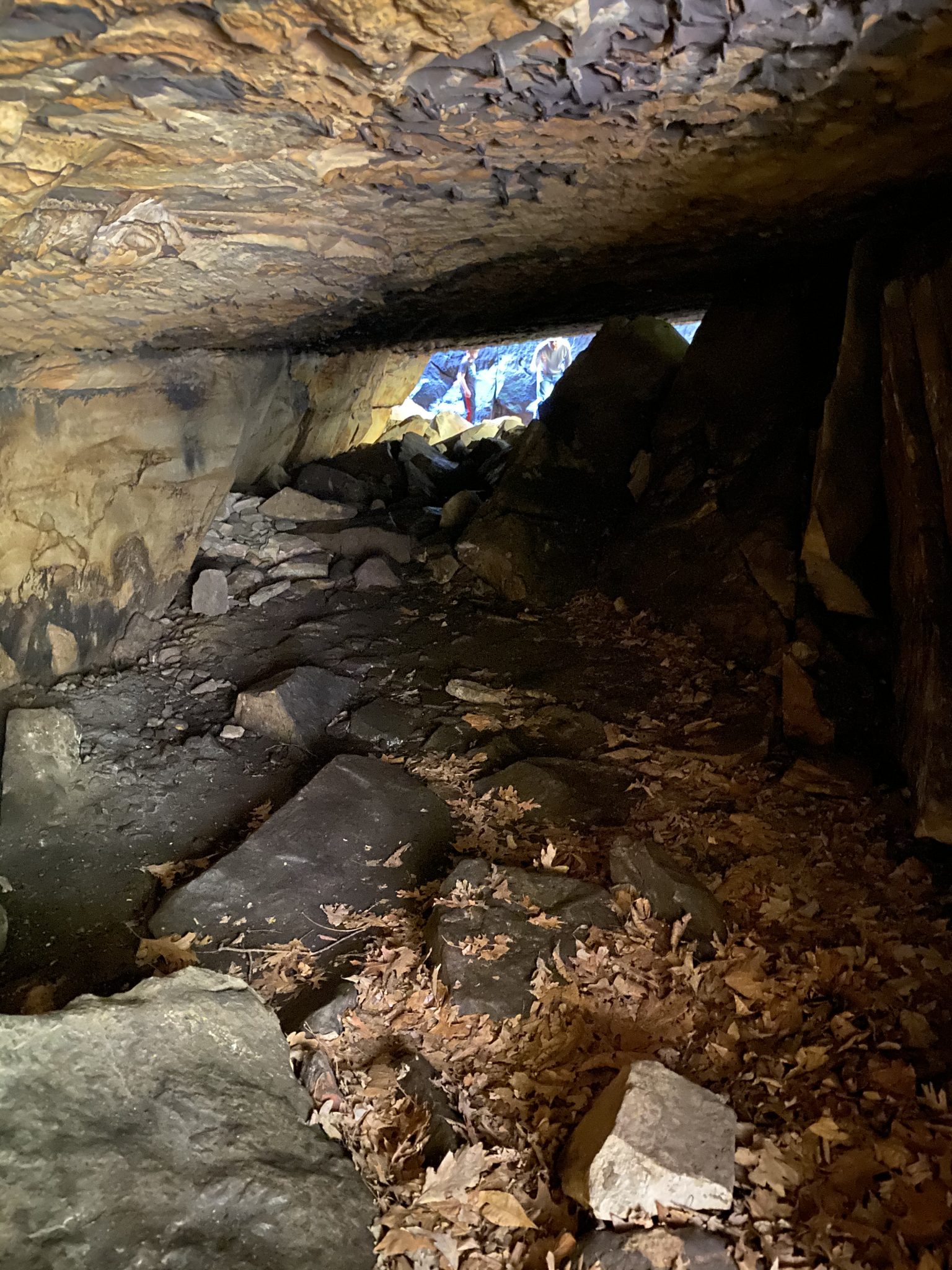 Panther Den Wilderness - The Marvelous Camp