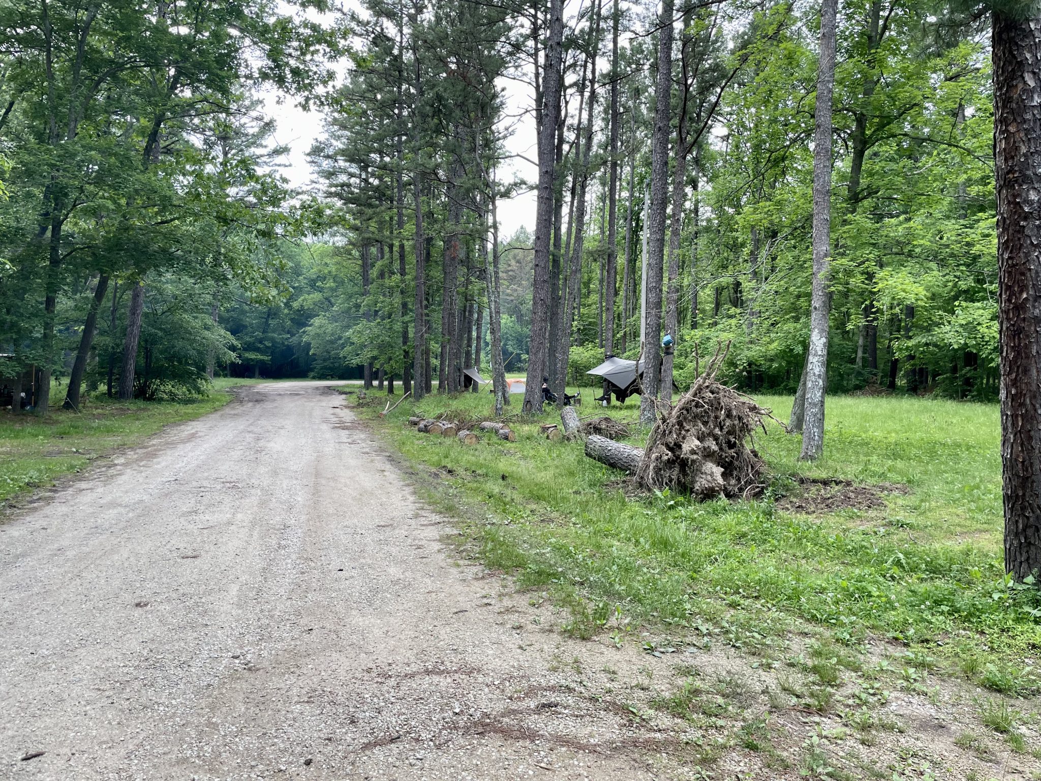 Berryman Trail - The Marvelous Camp